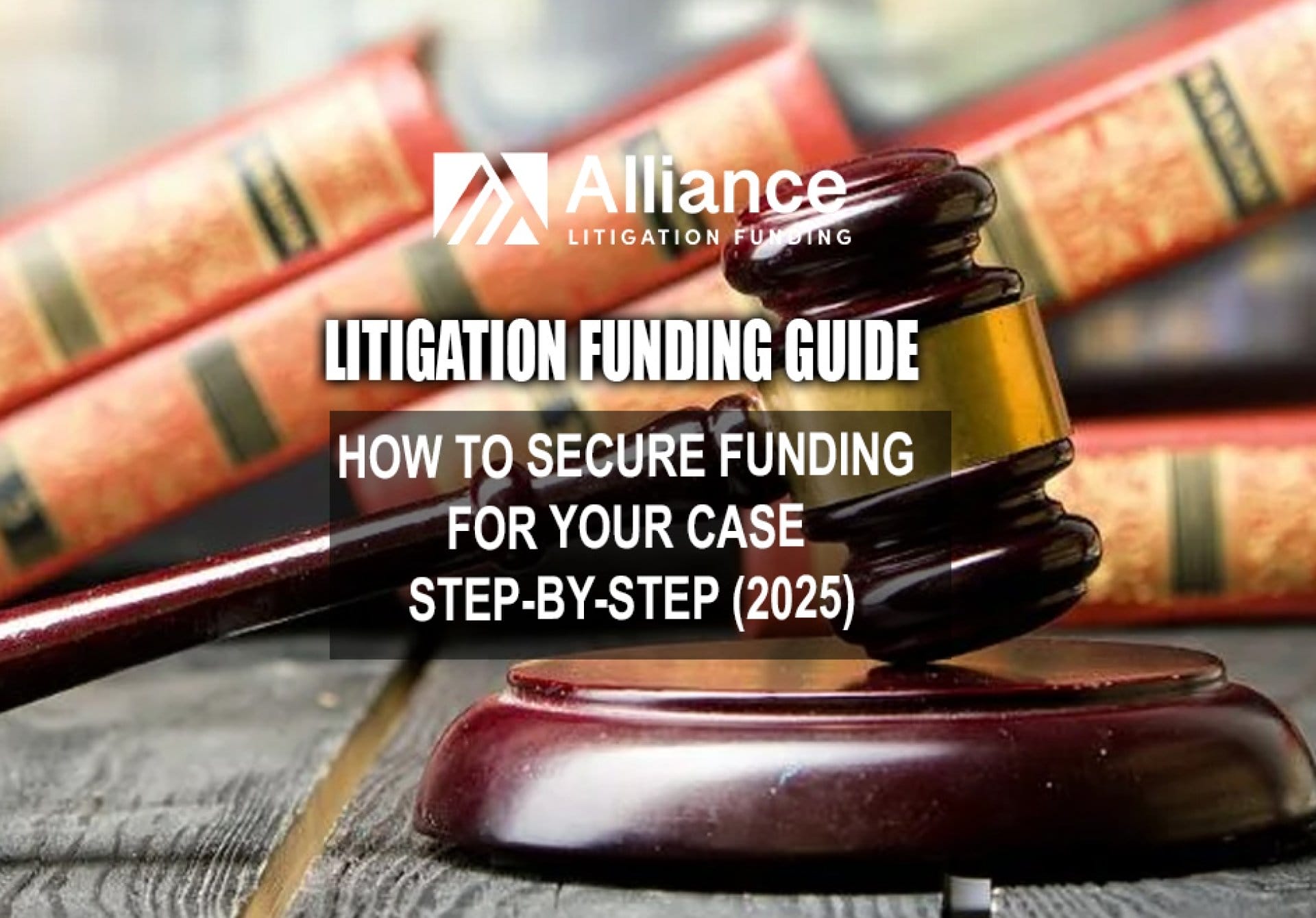 Litigation Funding Guide: How to Secure Funding for Your Case Step-by ...